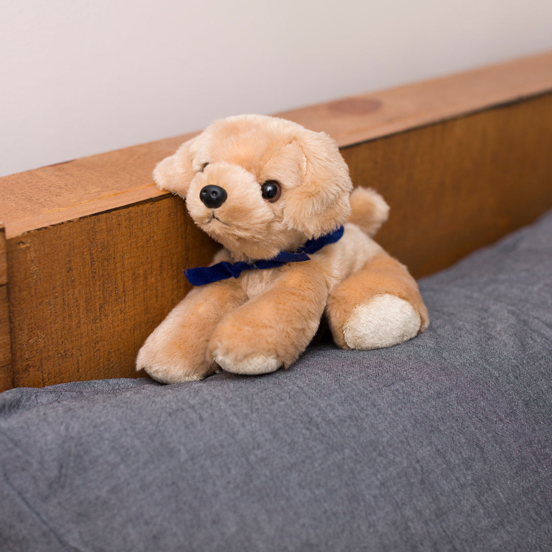 Golden Lab with Mane 'n Tail Blue Bandana