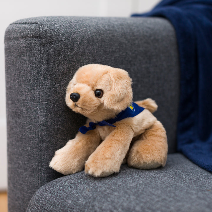 Golden Lab with Mane 'n Tail Blue Bandana